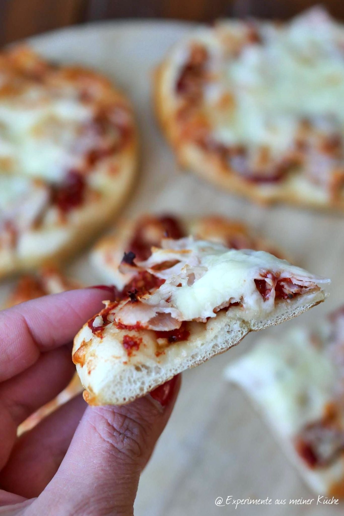 Brezelpizza - Experimente aus meiner Küche